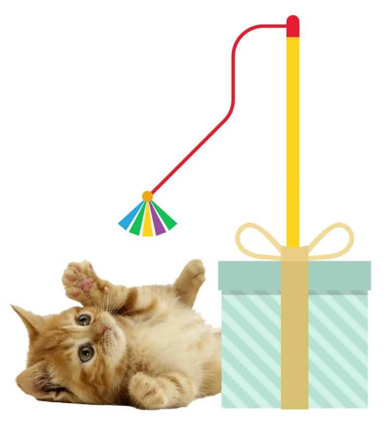 The best Christmas presents for your cat - AnimalsA2Z.com