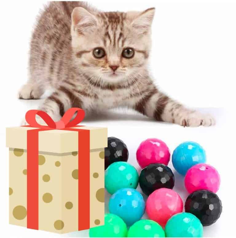 The best Christmas presents for your cat - AnimalsA2Z.com