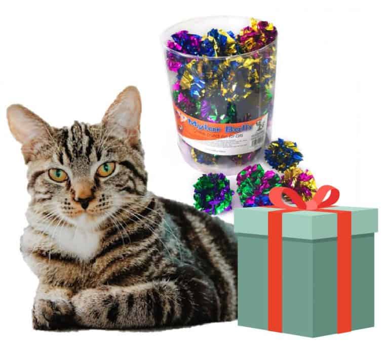 The best Christmas presents for your cat - AnimalsA2Z.com