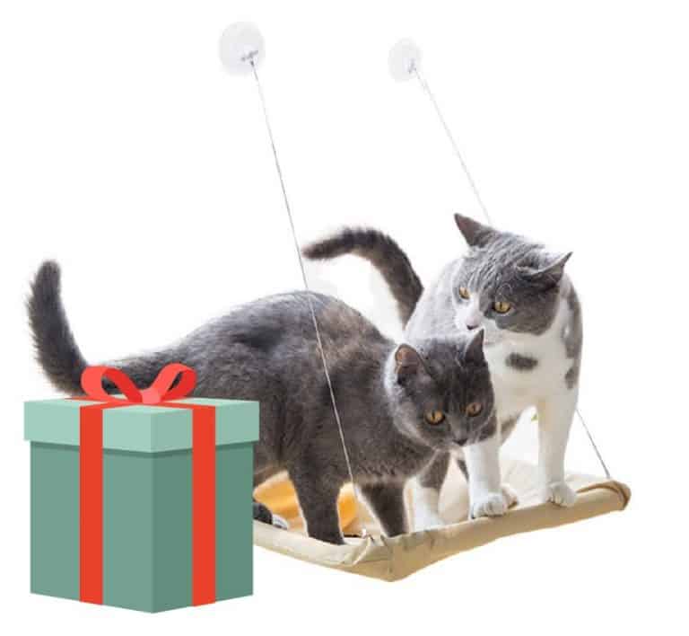 The best Christmas presents for your cat - AnimalsA2Z.com